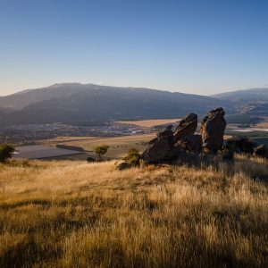 Shannon Farm Project Page - Infinity Investment Group